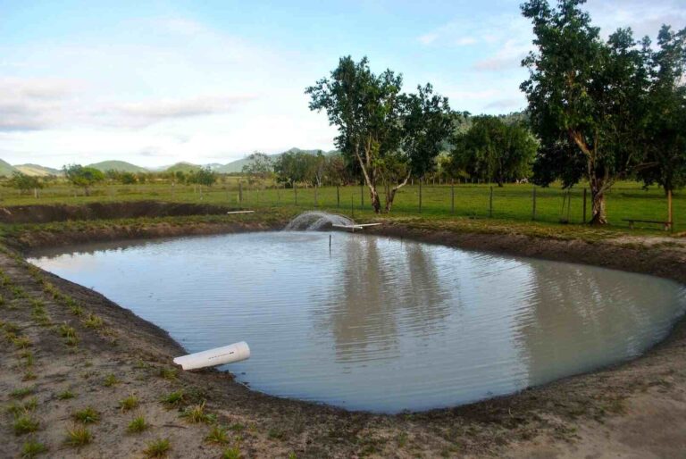Types of Fish Farming Ponds & Geomembrane Liners